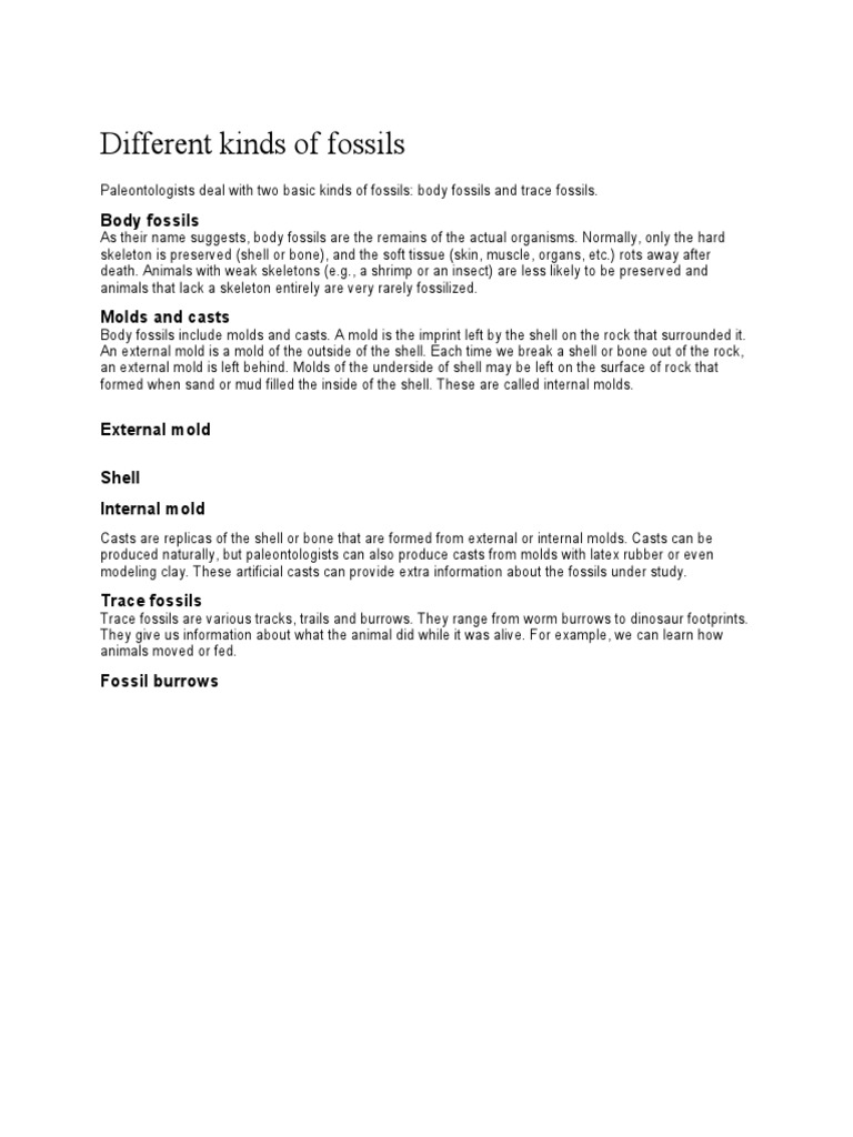 Types of Fossils: Body and Trace Explained | PDF | Fossil | Nature