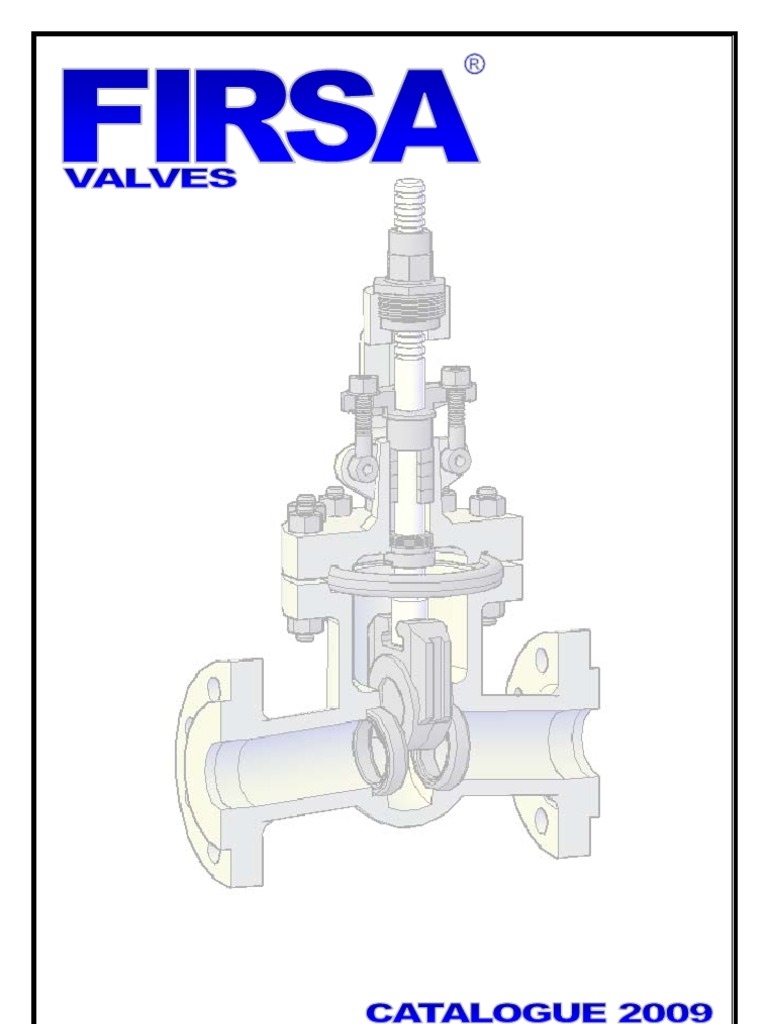 FIRSA S.p.A. Valve Manufacturing Overview | PDF | Valve | Stainless Steel