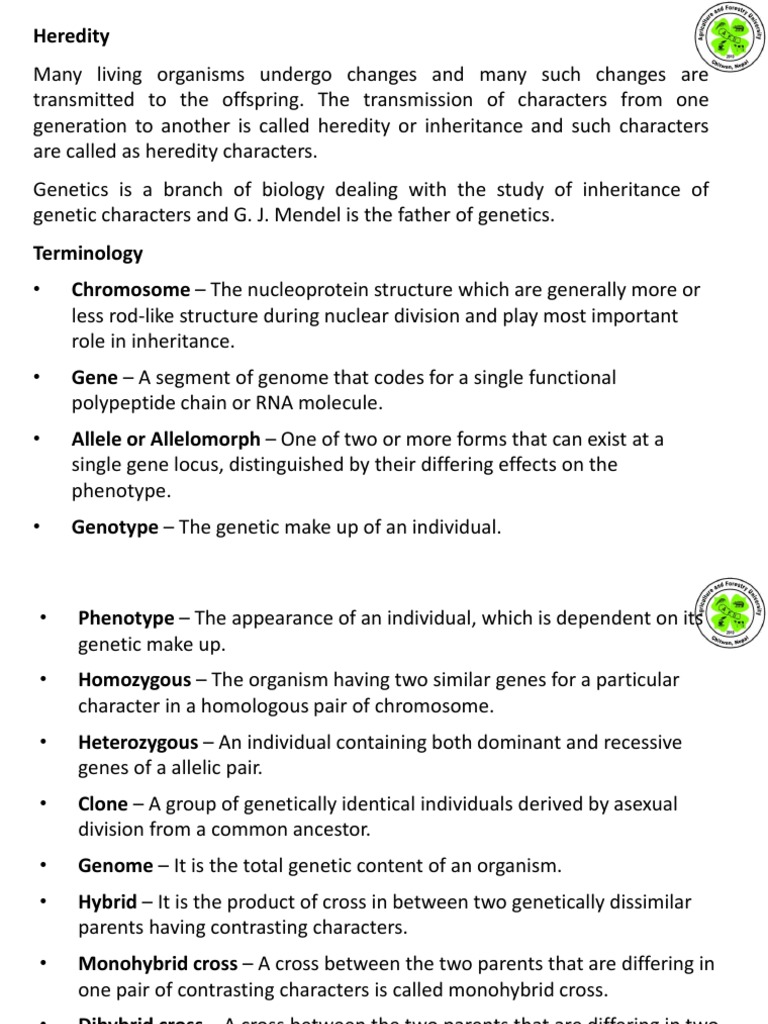Mendelism and Deviation Form Mendel's Findings | PDF | Dominance ...