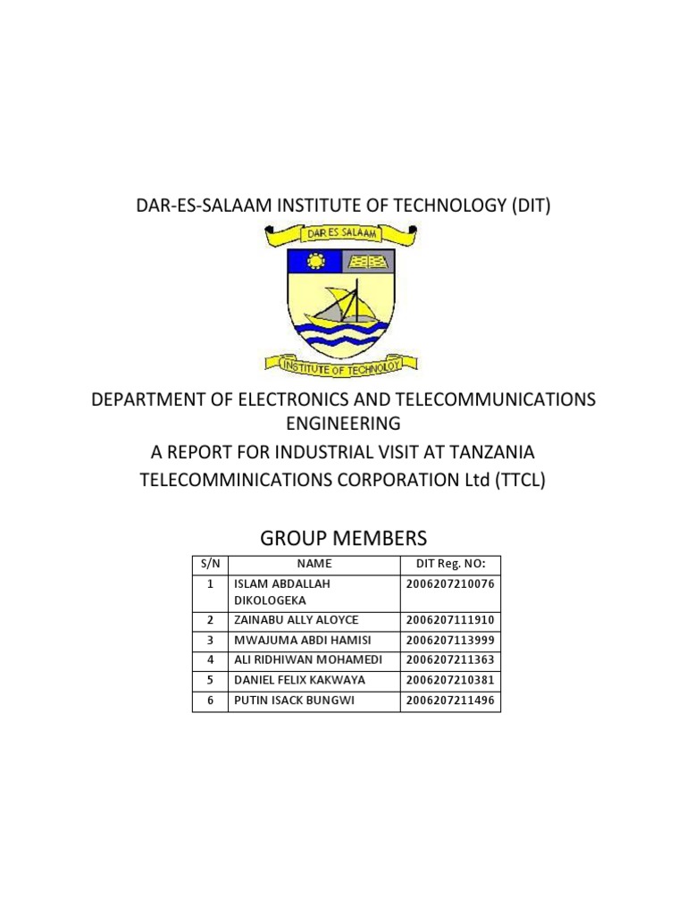 Dar-Es-Salaam Institute of Technology (Dit) : Group Members | PDF ...