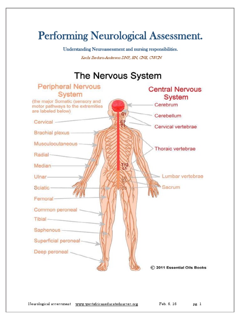 Elib - Tips - Performing Neurological Assessment | PDF | Autonomic ...