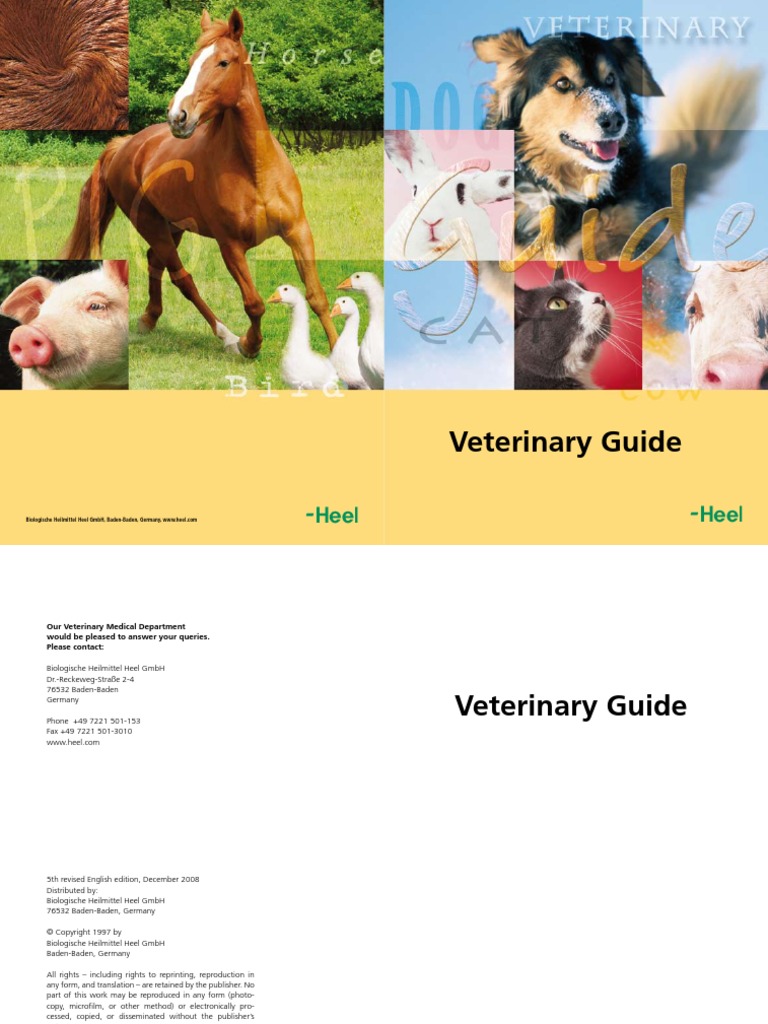 Veterinary Guide - UK | PDF | Injection (Medicine) | Homeopathy