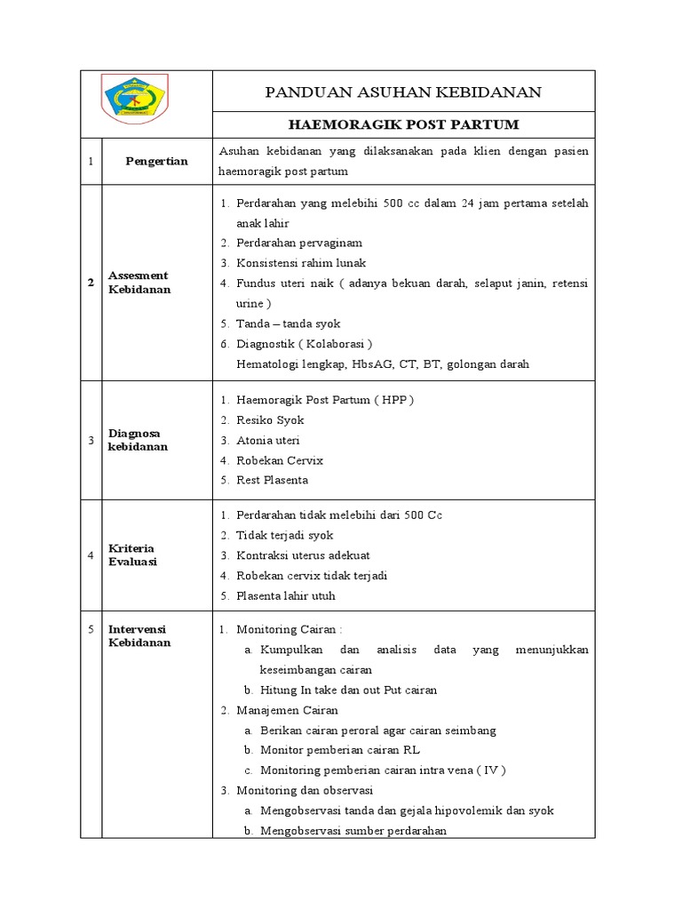 Panduan HPP dalam Kebidanan | PDF
