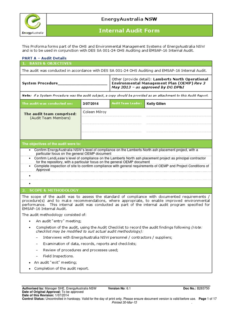 EnergyAustralia Internal Audit Template | PDF | Audit | Internal Audit
