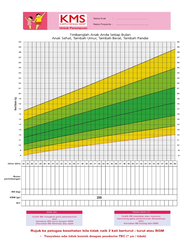 Standar 1.2.b Kartu Menuju Sehat KMS | PDF