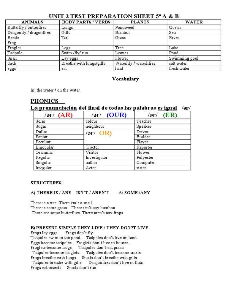 Wonder 5 Unit 2 Test Preparation Sheet | PDF | Frog | Dragonfly