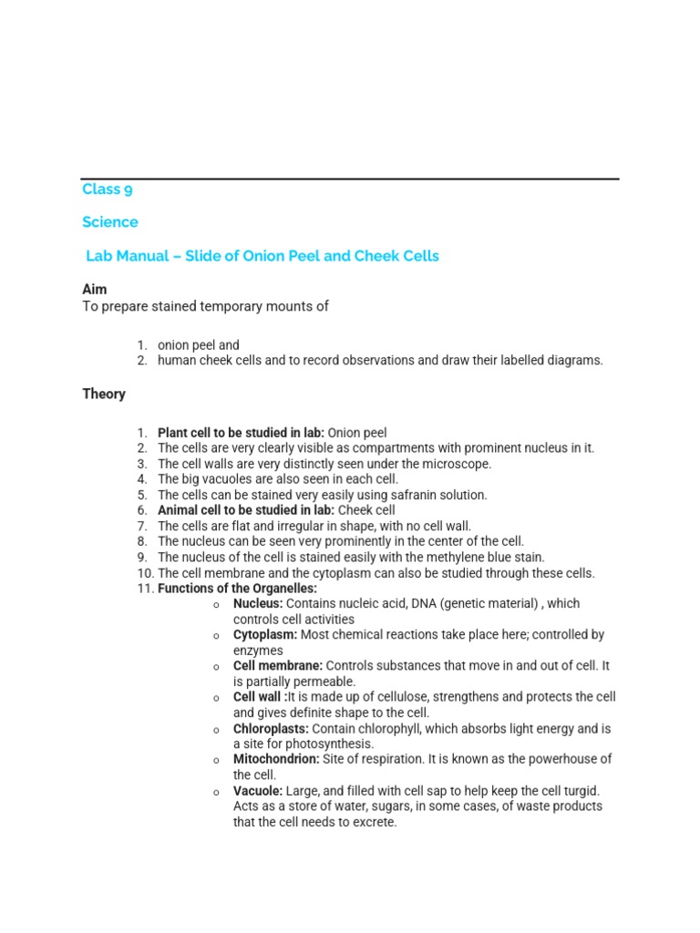 Onion Peel and Cheek Cell Experiment | PDF | Cell (Biology) | Staining