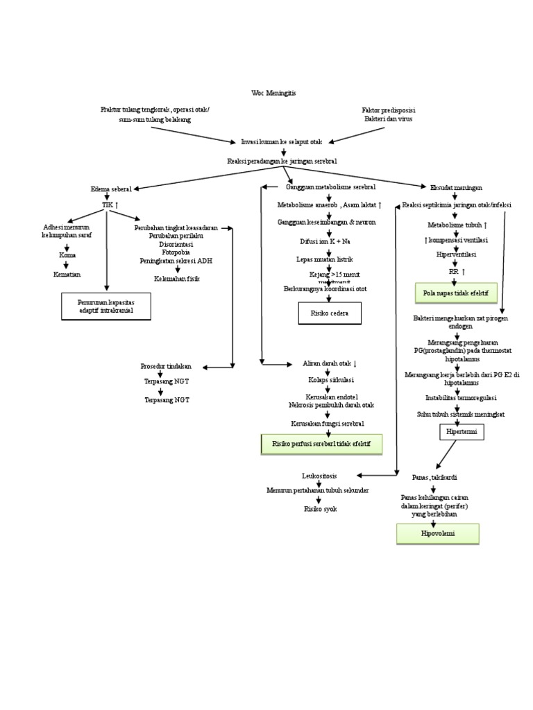 Woc Meningitis | PDF