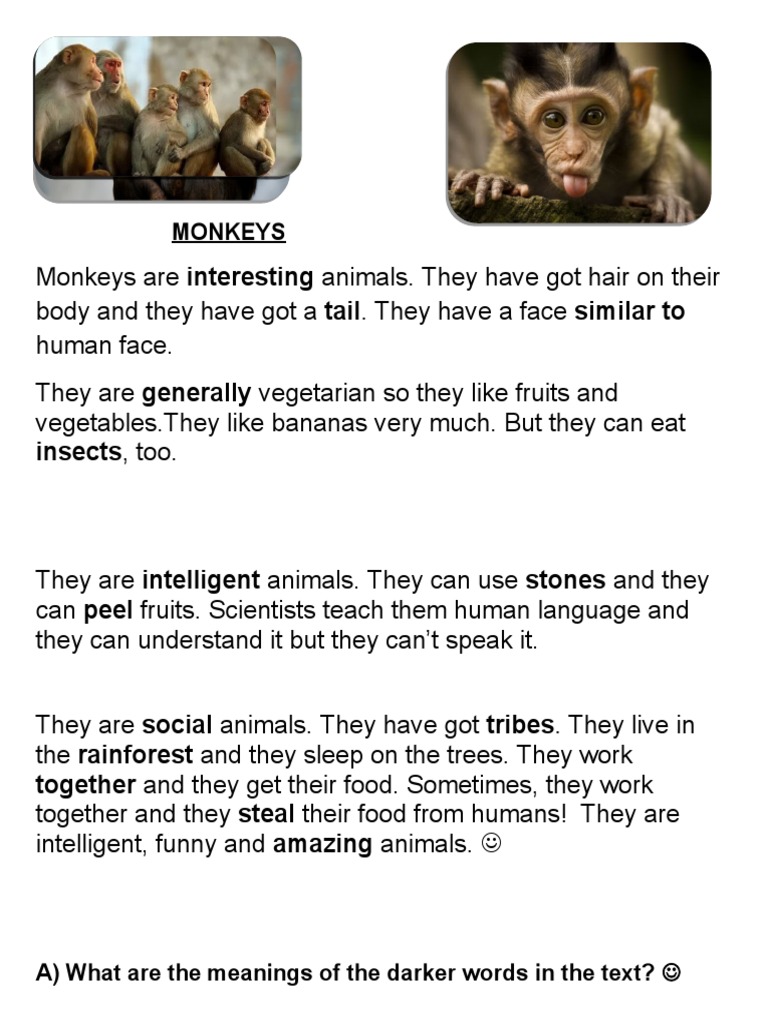 Reading Passage Monkeys Reading Comprehension Exercises 90628 | PDF ...