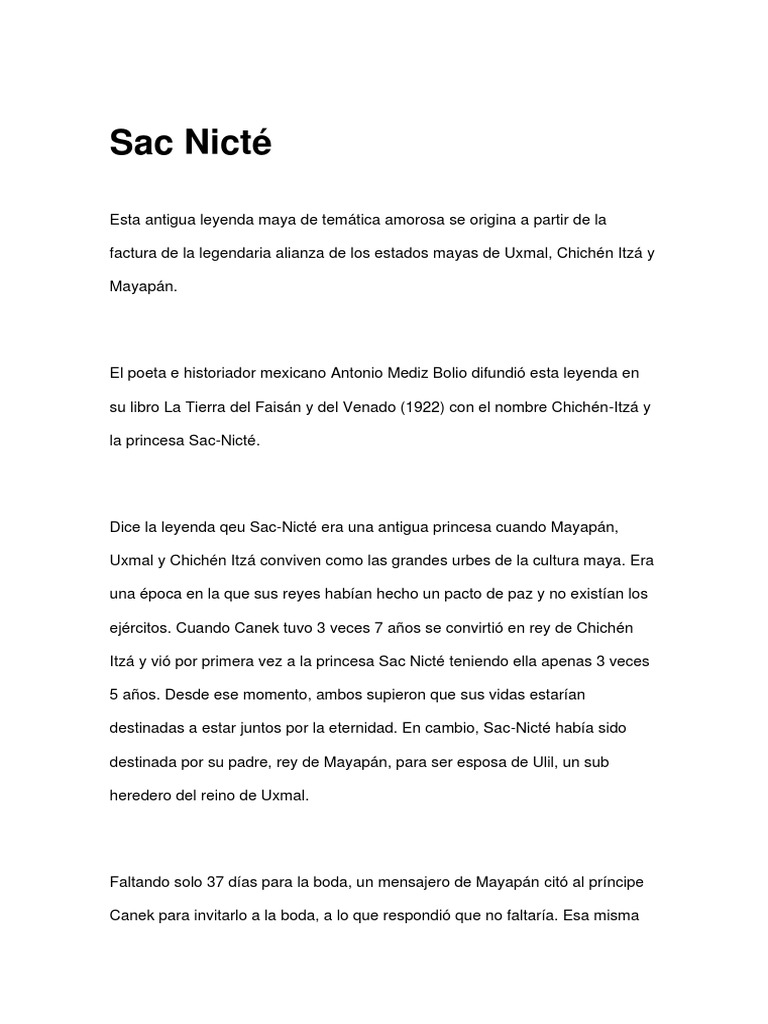 Sac Nicté | PDF