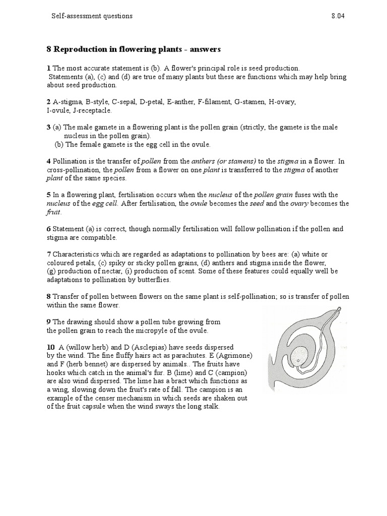 8 Reproduction in Flowering Plants - Answers: Plant of The Same Species ...