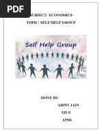 SHG Group Project Report PDF | PDF | Microfinance | Microcredit