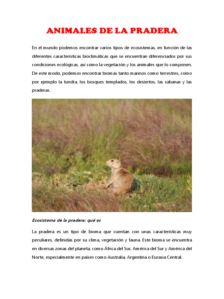 Animales de La Pradera | PDF