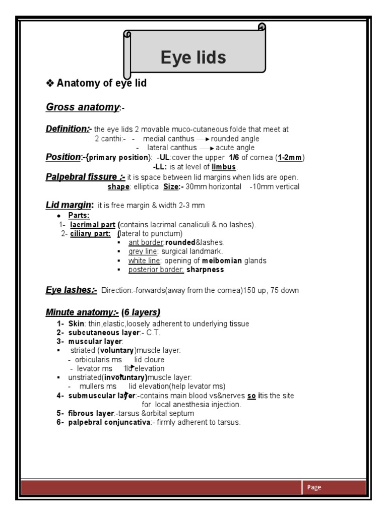 Eye Lids: Anatomy of Eye Lid | PDF | Diseases Of The Eye And Adnexa ...