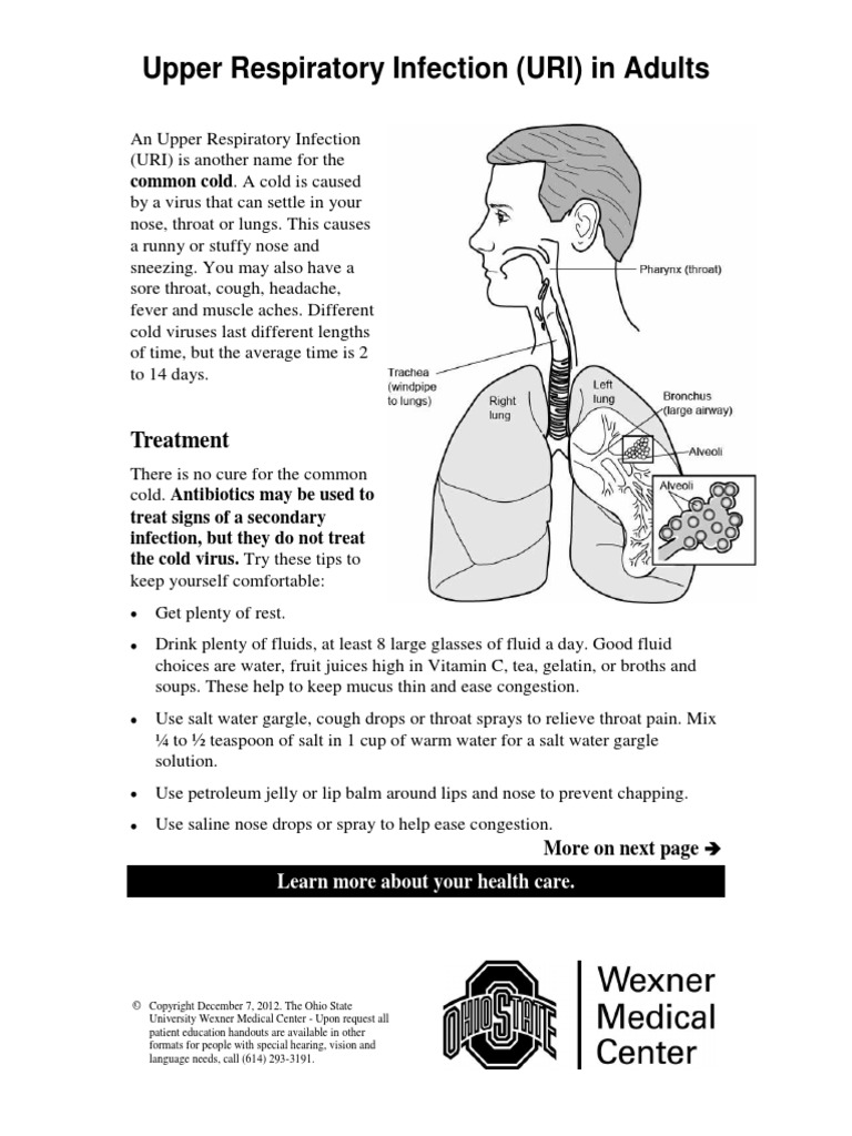 Upper Respiratory Infection (URI) in Adults: Treatment | PDF | Common ...
