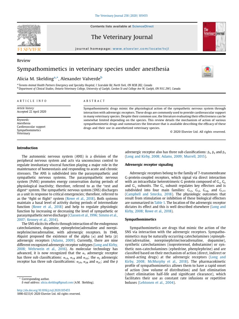 Sympathomimetics in Veterinary | PDF | Blood Pressure | Physiology
