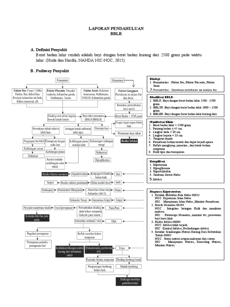 LP BBLR | PDF | Pengembangan Diri | Kesehatan Holistik
