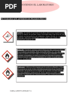 Cuáles Son Los Pictogramas de Seguridad | PDF