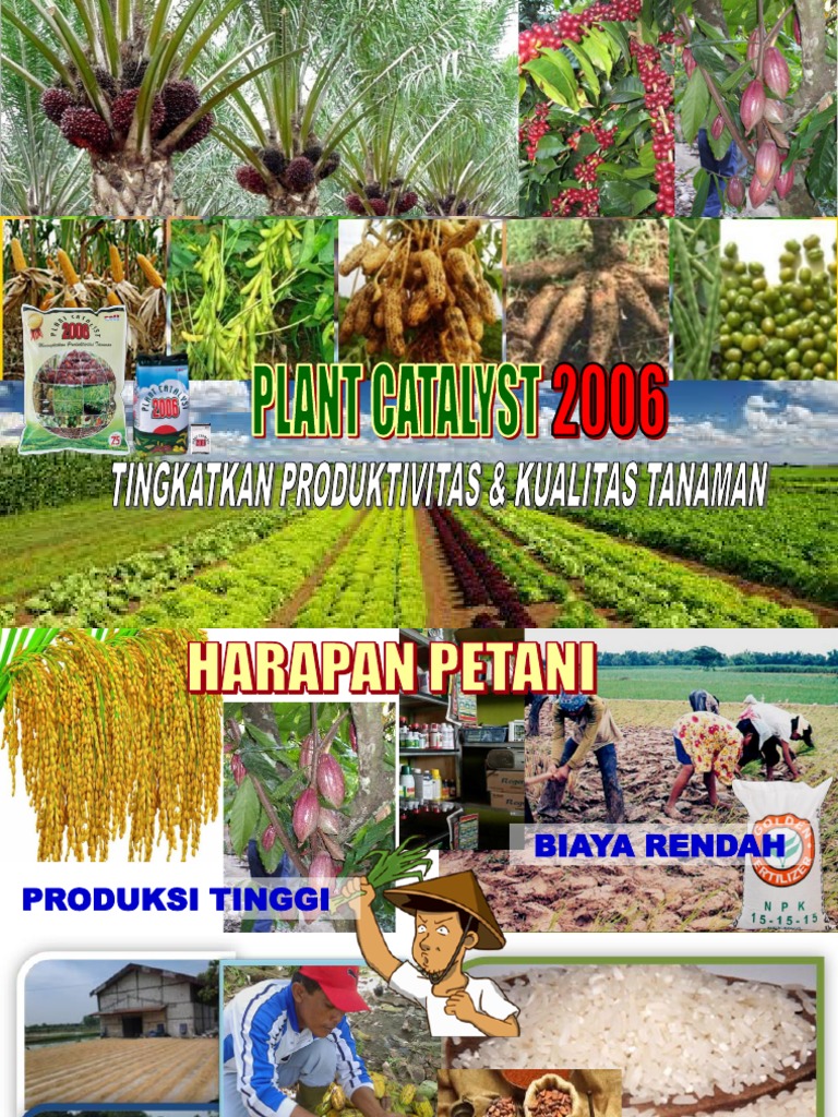 SMNR Ps TNM Umum | PDF