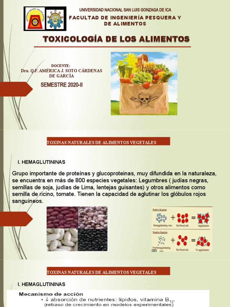 Toxinas naturales de alimentos vegetales: hemaglutininas, glucósidos ...