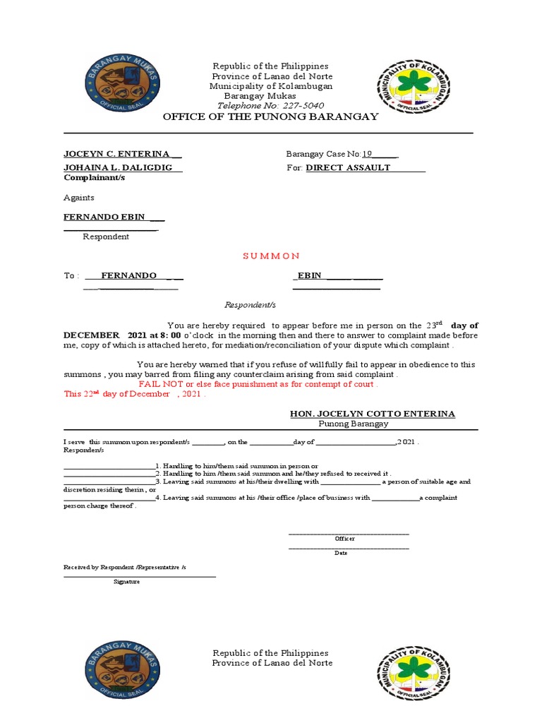 Office of The Punong Barangay | PDF | Legal Documents | Legal Concepts