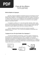 Paradigmas de Linguagem de Programação - Java | PDF | Classe ...