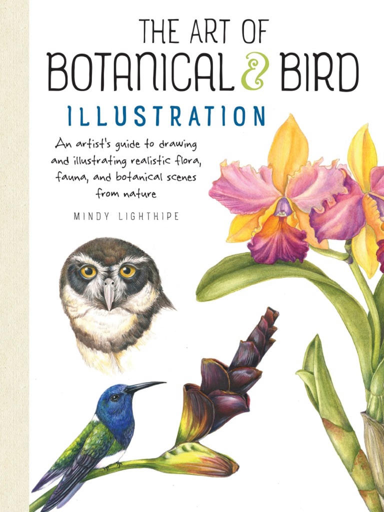 The Art of Botanical & Bird Illustration - An Artist's Guide To Drawing ...
