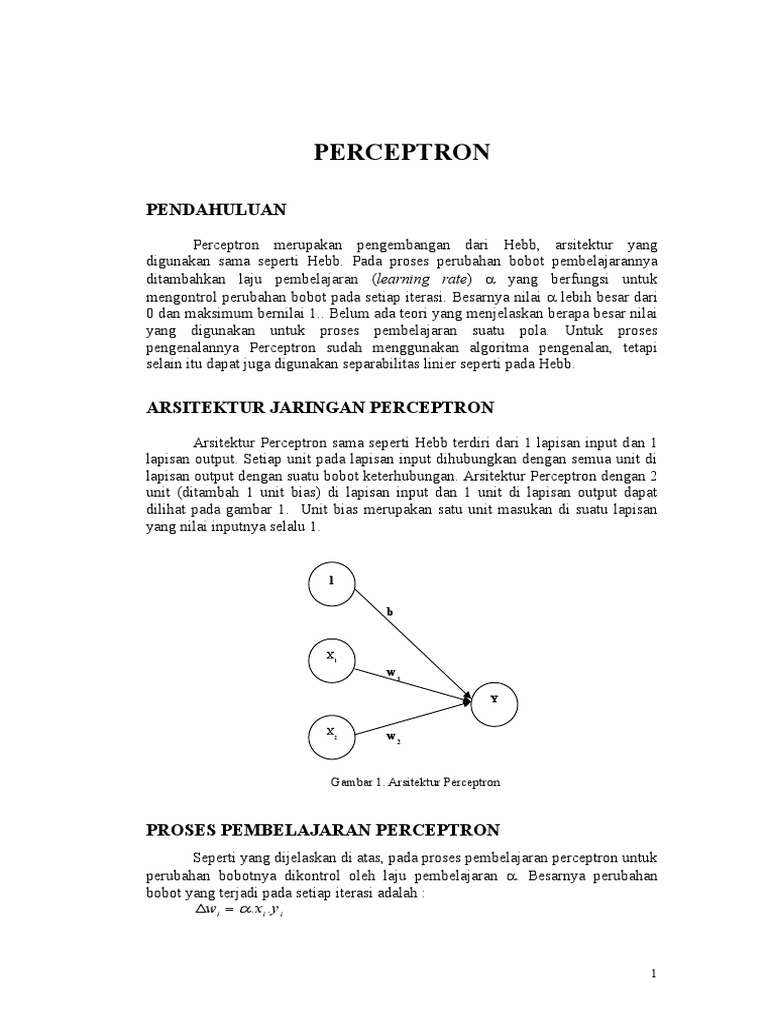 PERCEPTRON ALGORITHM OVERVIEW | PDF