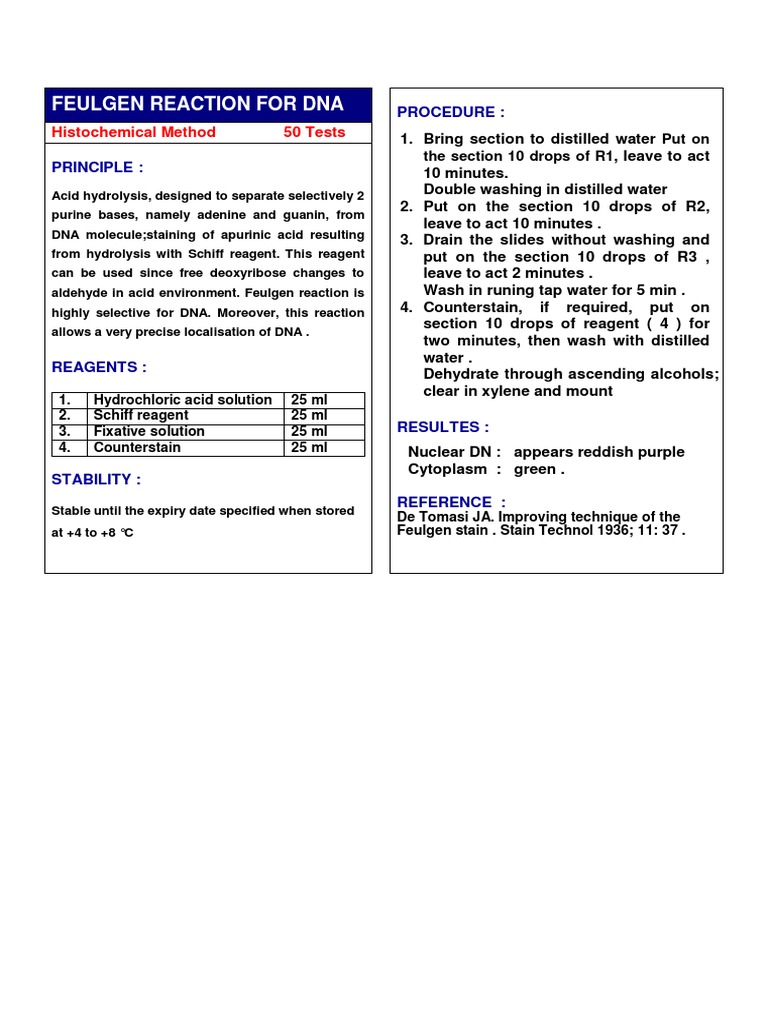 Feulgen Reaction For Dna | PDF | Histology | Dna