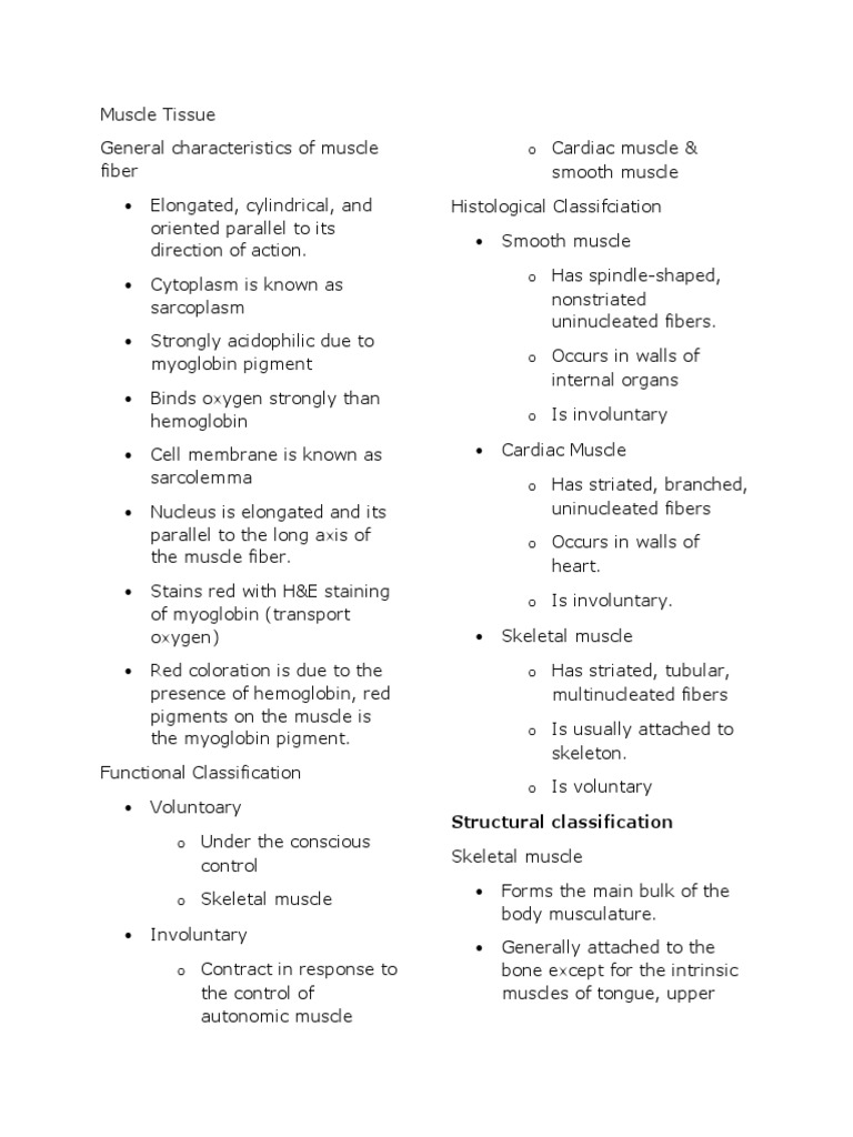 Muscle Tissue Notes | PDF | Skeletal Muscle | Cardiac Muscle