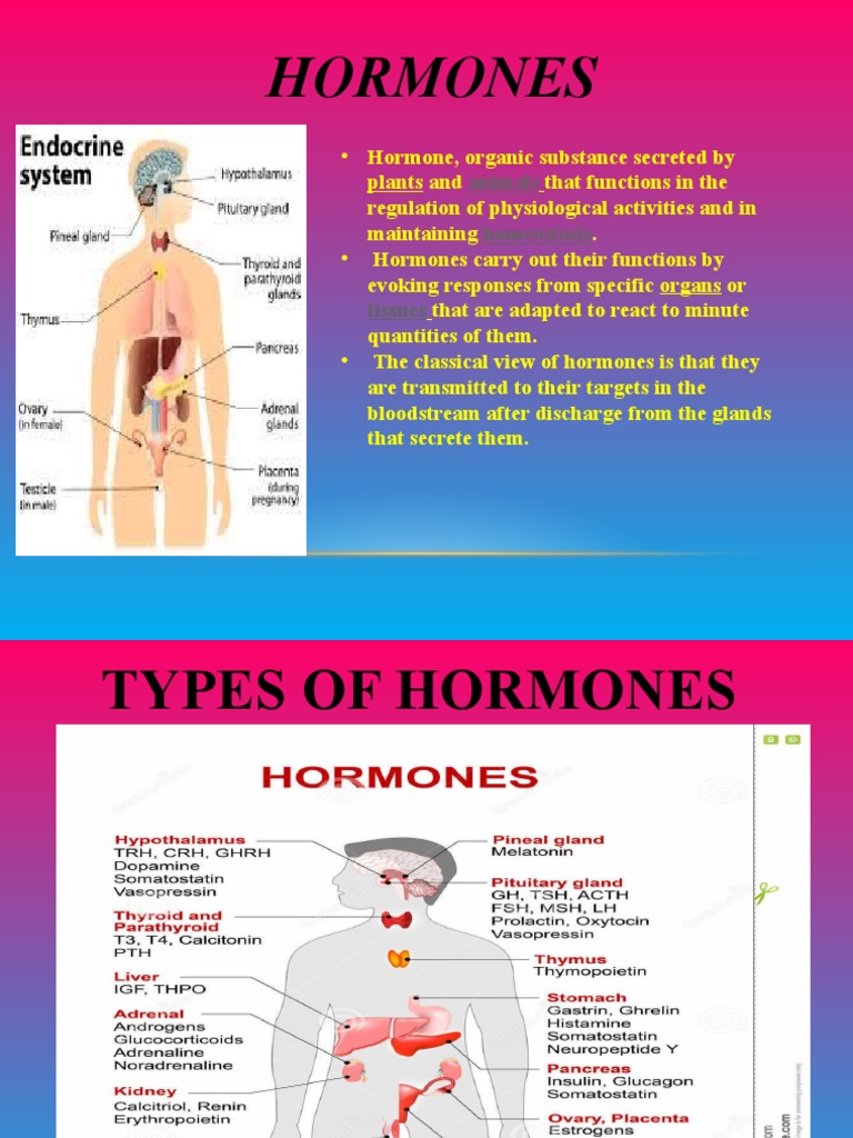 Hormones and Behaviour | PDF | Testosterone | Aggression