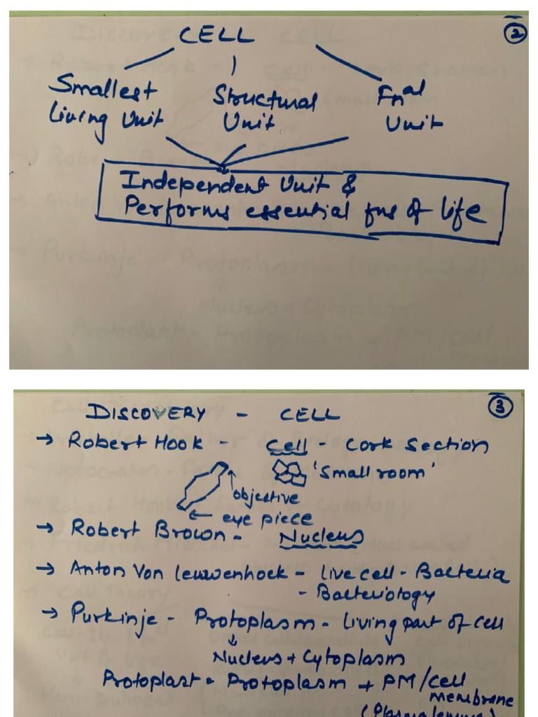 Cell The Unit of Life | PDF