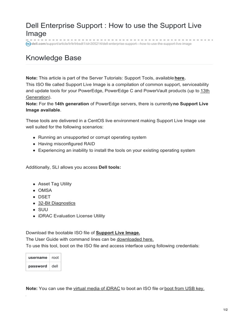 Dell Enterprise Support How To Use The Support Live Image | PDF | Icon ...
