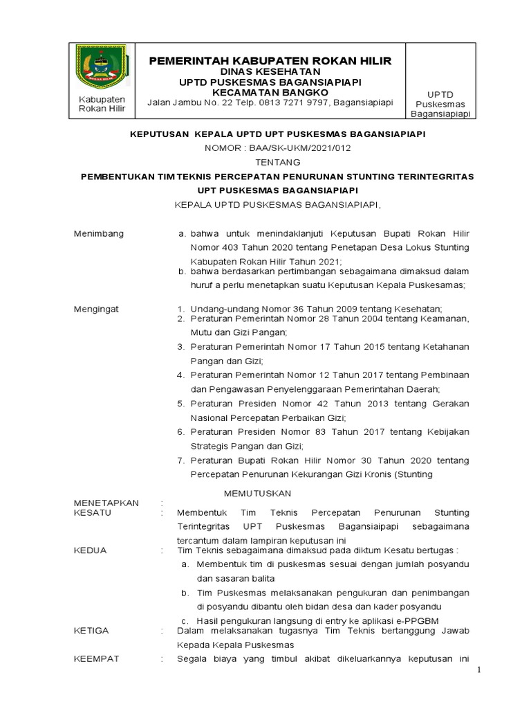 Tim Percepatan Penurunan Stunting | PDF