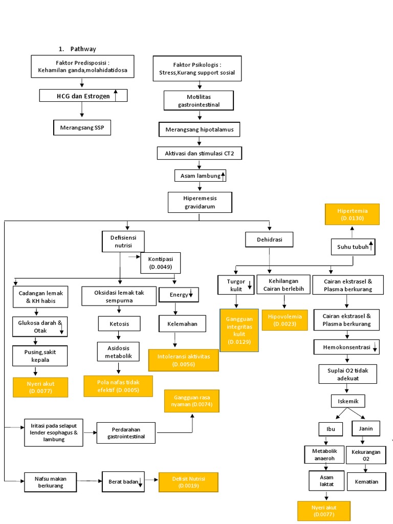 Pathway Hiperemesis Gravidarum dan Diagnosa | PDF