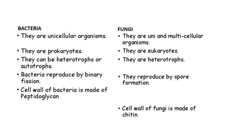 Difference Between Bacteria and Fungi | PDF