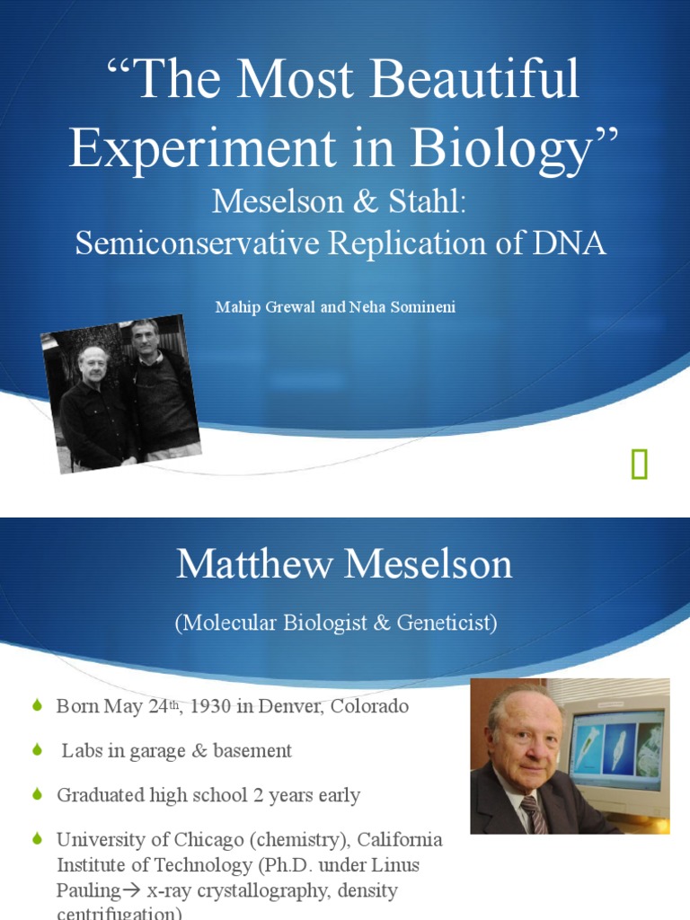 "The Most Beautiful Experiment in Biology": Meselson & Stahl ...