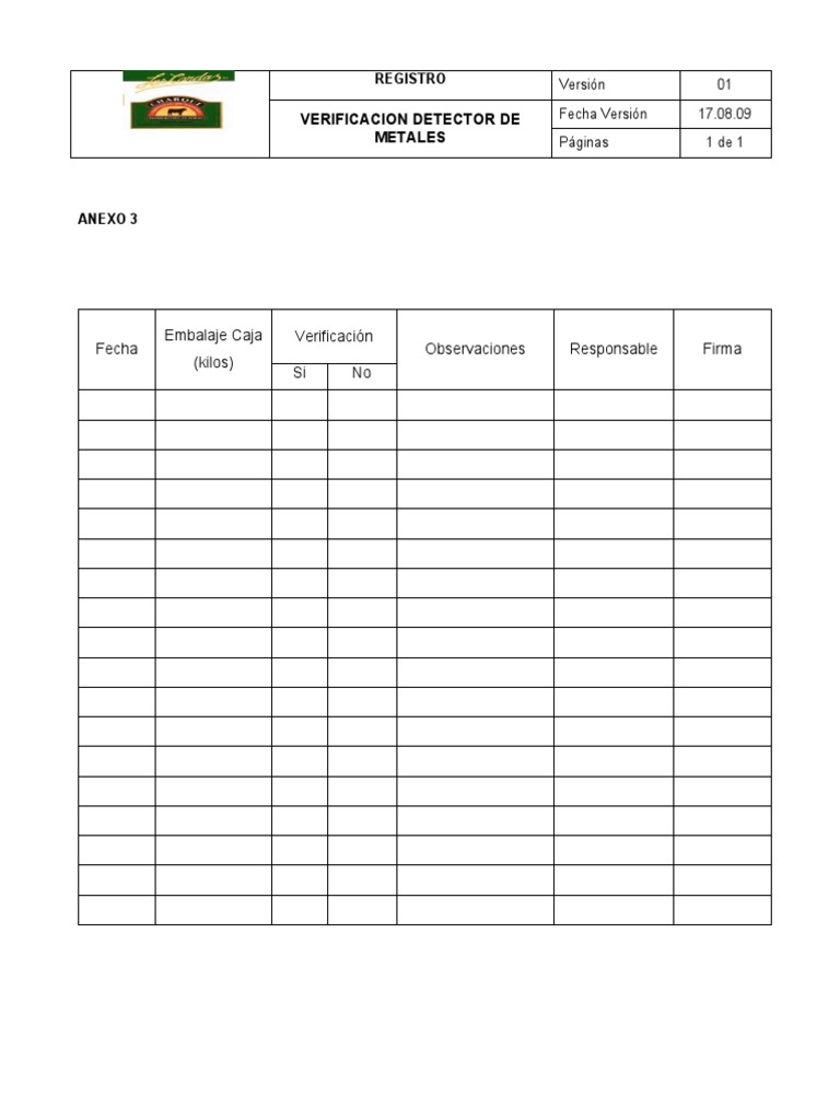 Verificación Detector de Metales 01 | PDF