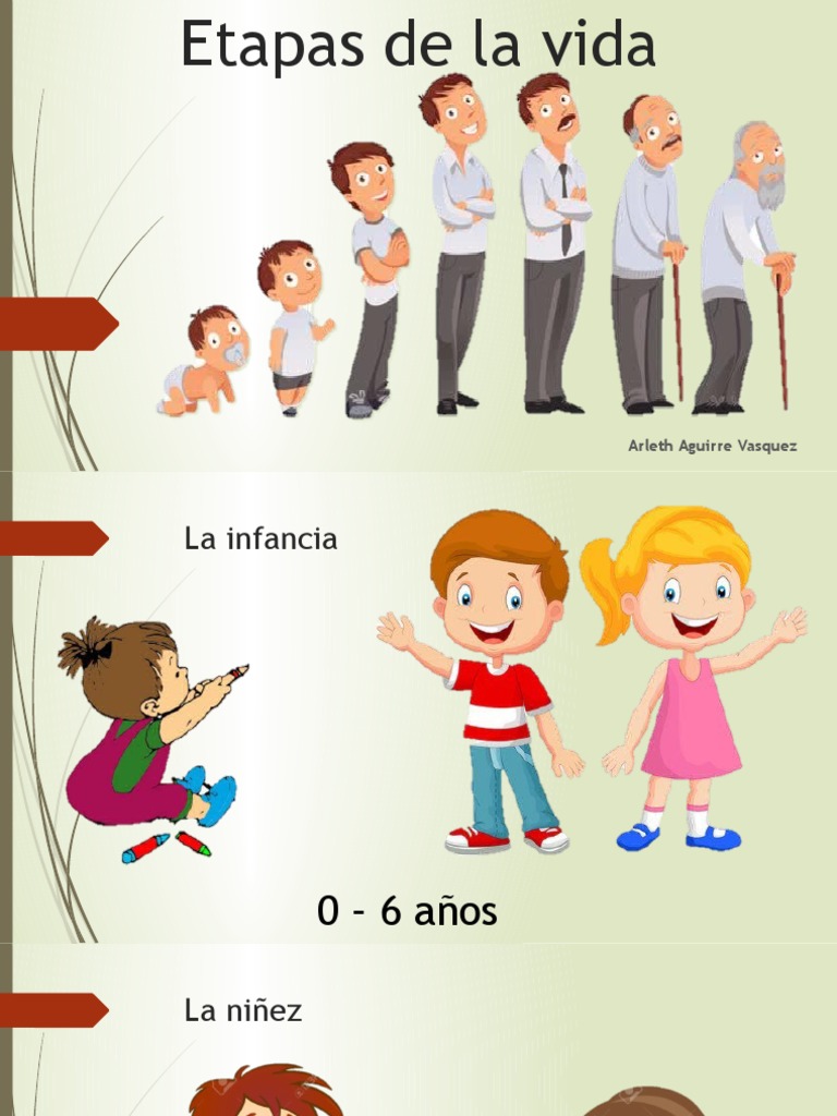 Etapas de La Vida | PDF