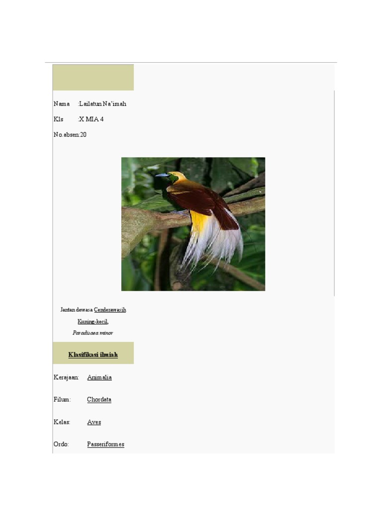 Cendrawasih | PDF | Griya & Taman