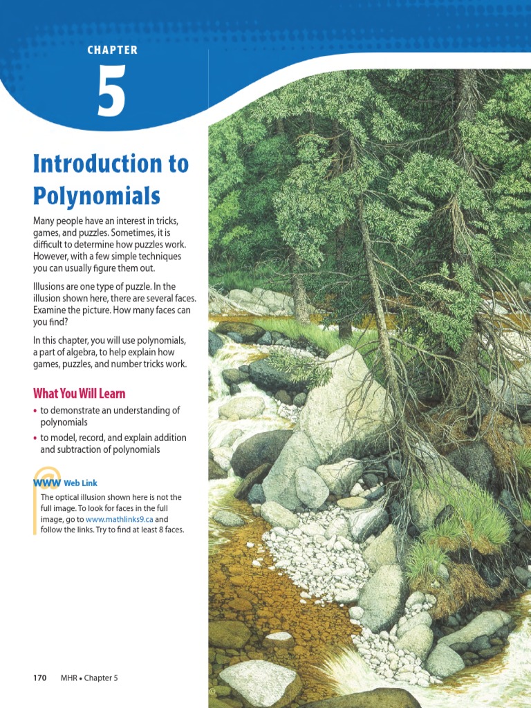 Chapter 5 For Math | PDF | Polynomial | Algebra