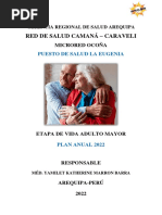 Plan Anual Refcon | PDF