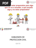 Triptico Nom-004 | PDF