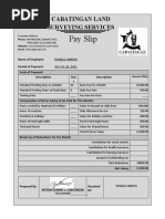 Bac Honorarium Guidelines | PDF