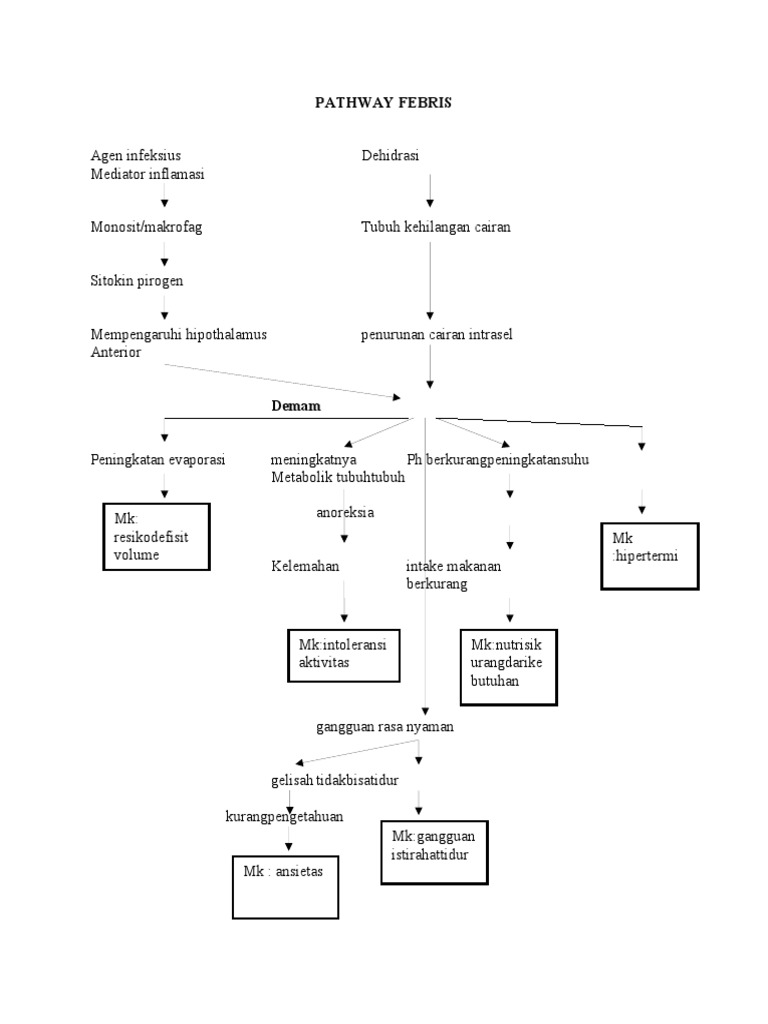 Pathway Febris | PDF