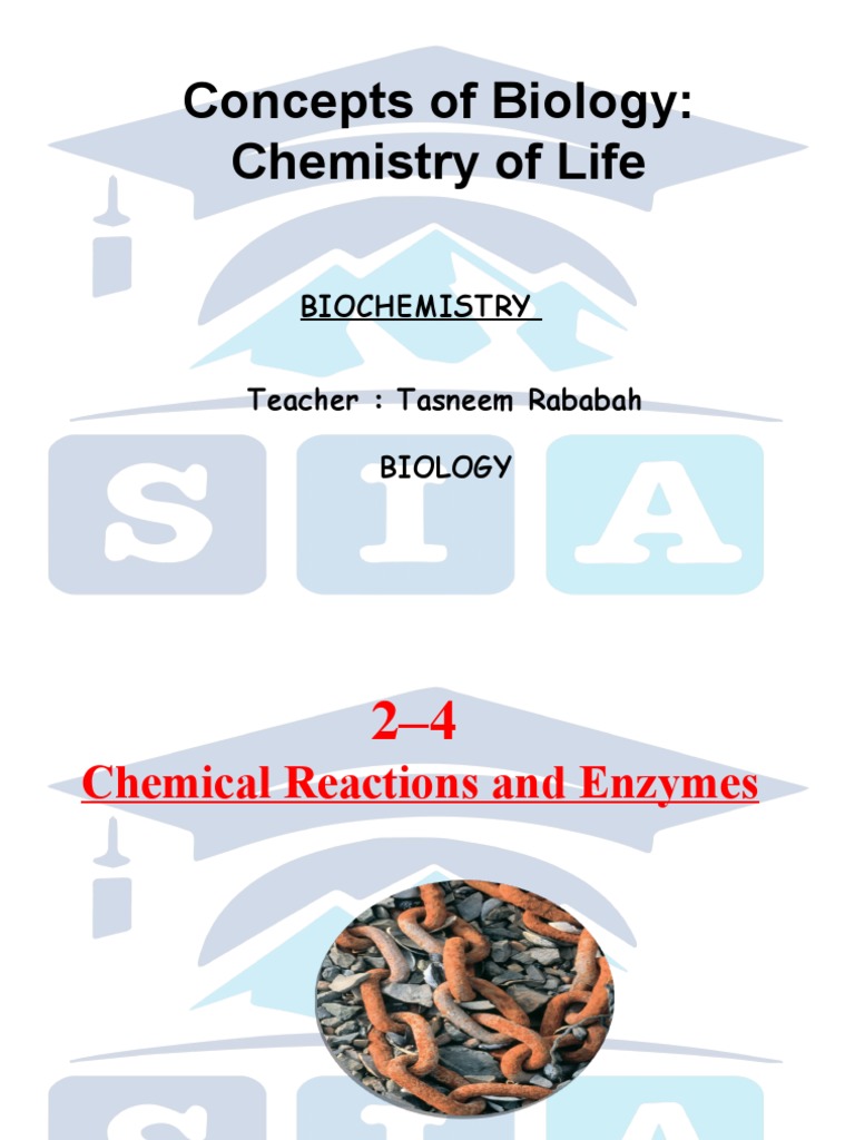 Grade 10 Biology Sec.2.4 | PDF | Enzyme | Chemical Reactions