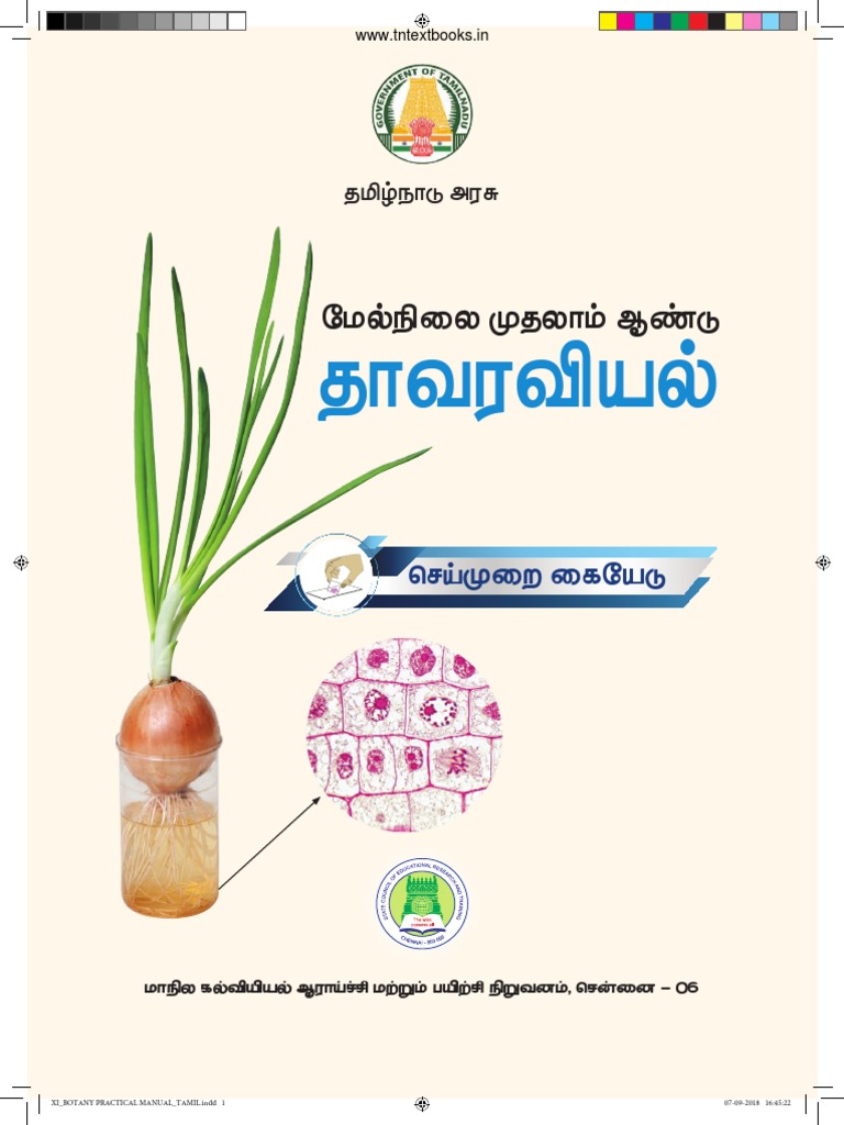 11 Botany Practical Manual TM Moses Sir | PDF