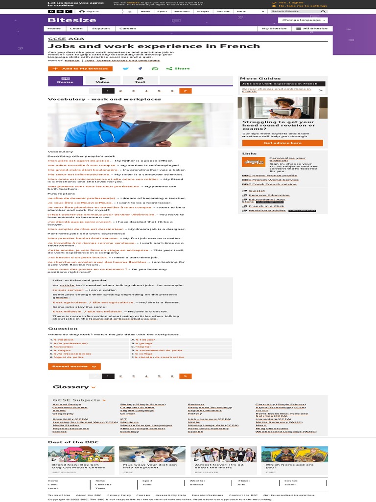 Vocabulary - Work and Workplaces - Jobs and Work Experience in French ...