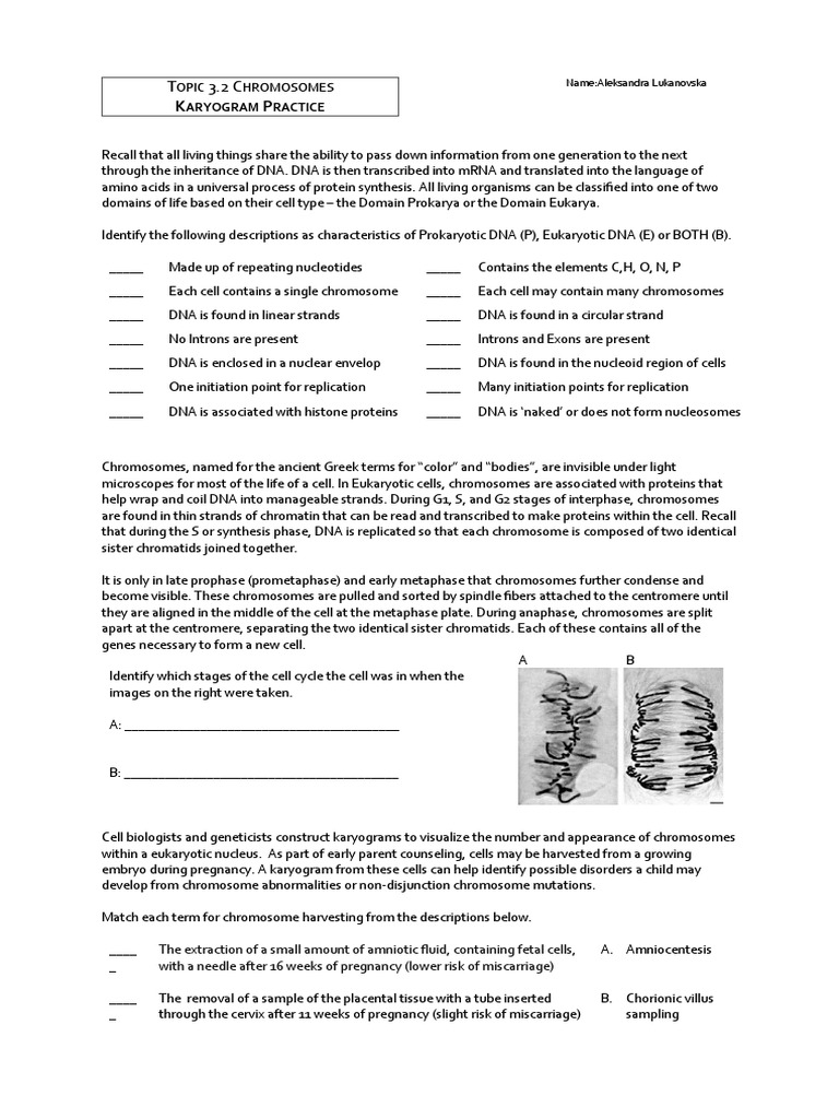 Chromosome Karyogram Practice Guide | PDF | Chromosome | Dna