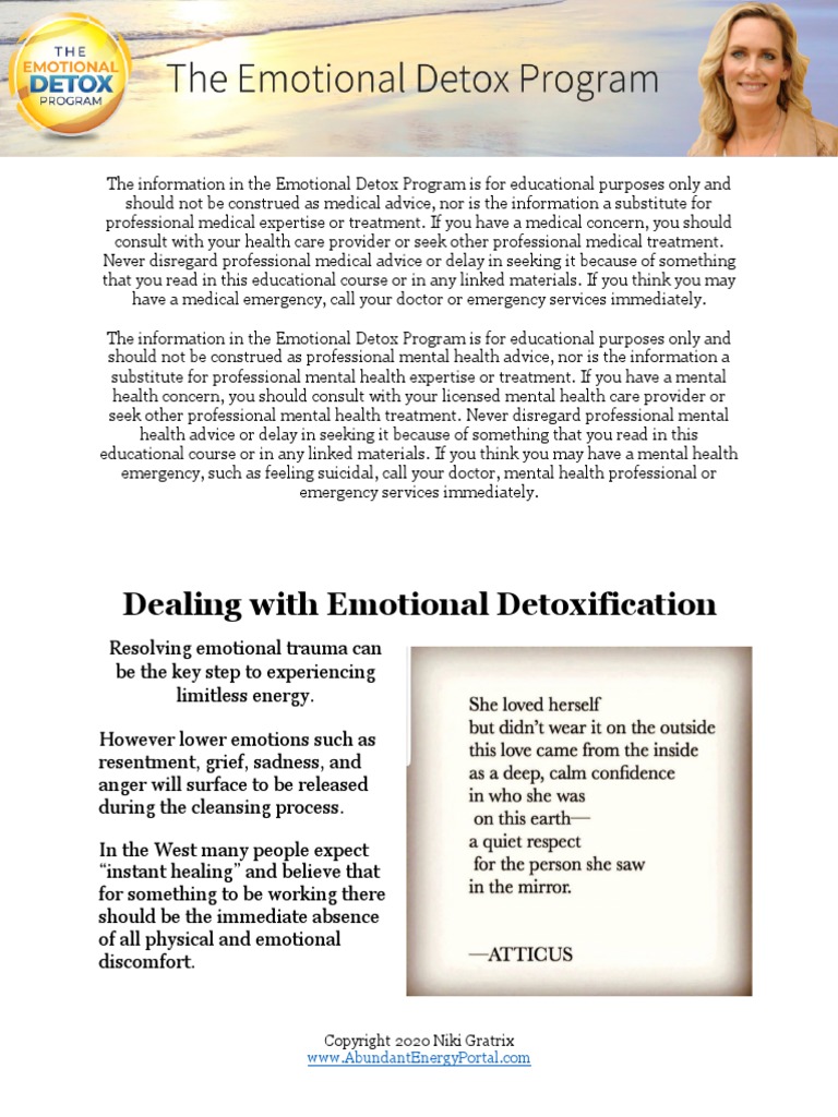 Dealing With Emotional Detoxification | PDF | Shame | Mind